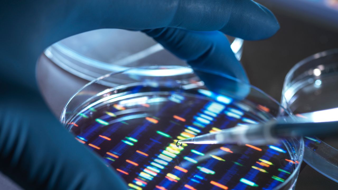 Las bacterias genitales podrían delatar agresores sexuales gracias a un ...