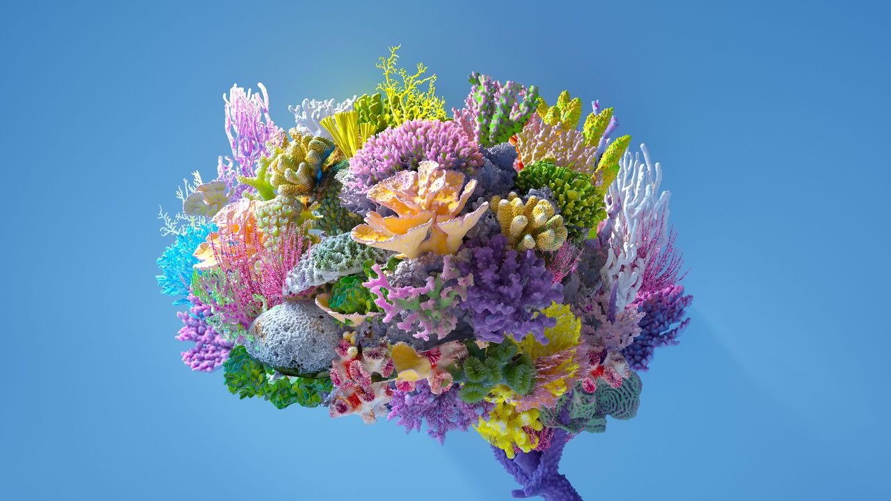 Los beneficios del mind wandering: por qué distraerse es bueno para el ...